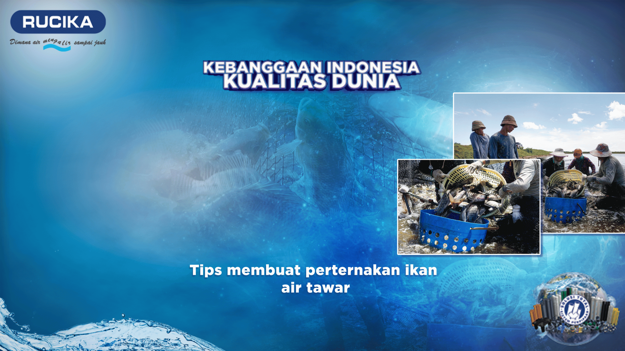 Tips Membuat Usaha Perternakan Air Tawar - RUCIKA