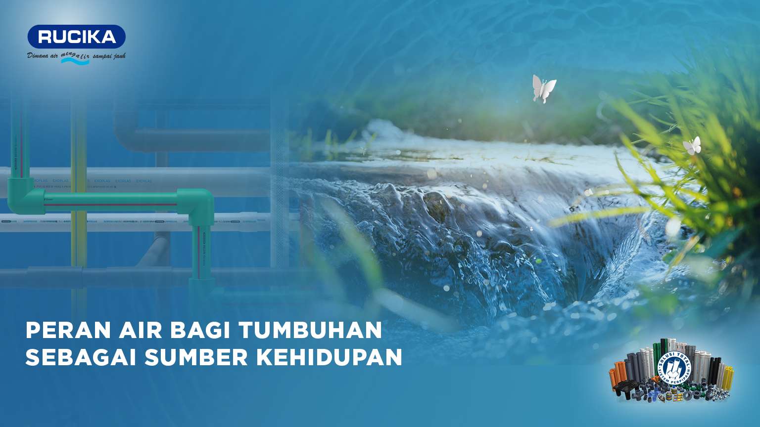Mengenal Jenis-Jenis Tambak! Sebagai Ragam Budidaya Perairan